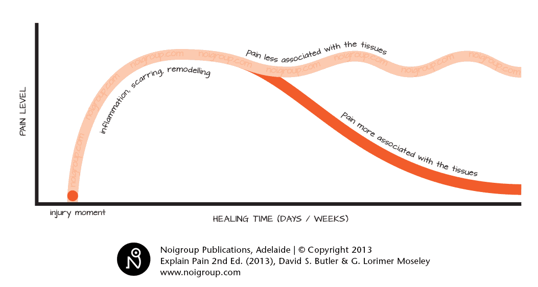 The Ultimate Guide To Low Back Pain Physio In 2025