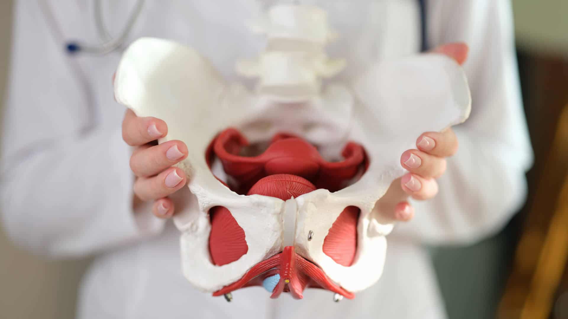 The Ins And Outs Of Pelvic Floor Exercises