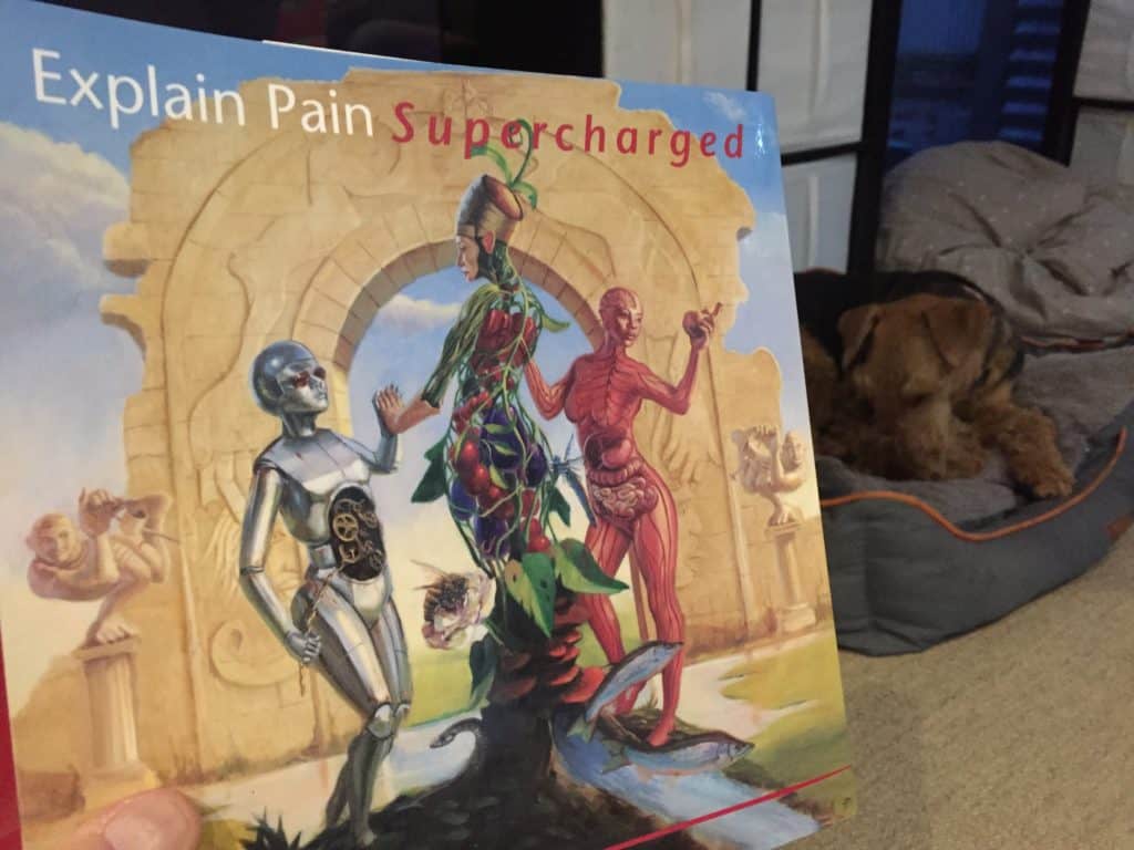 Explain Pain - the book and the revolution